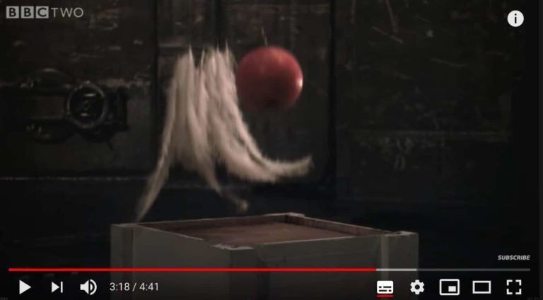 NASA Proves It! A Feather and a Steel Ball Fall Together — Why Do They ...