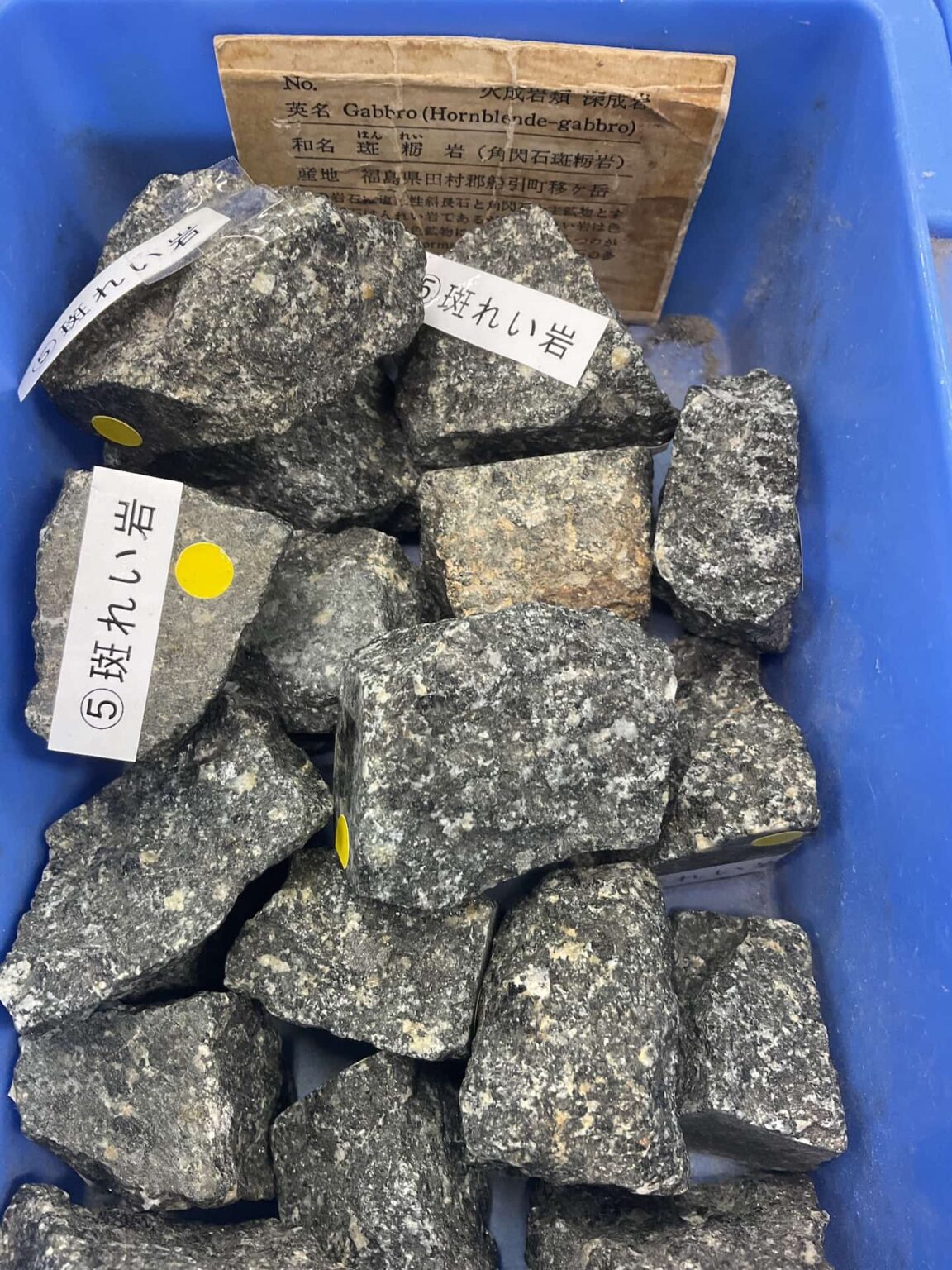 Catchy Title Suggestion: Rock Detectives: Unlocking Earth’s Past in ...