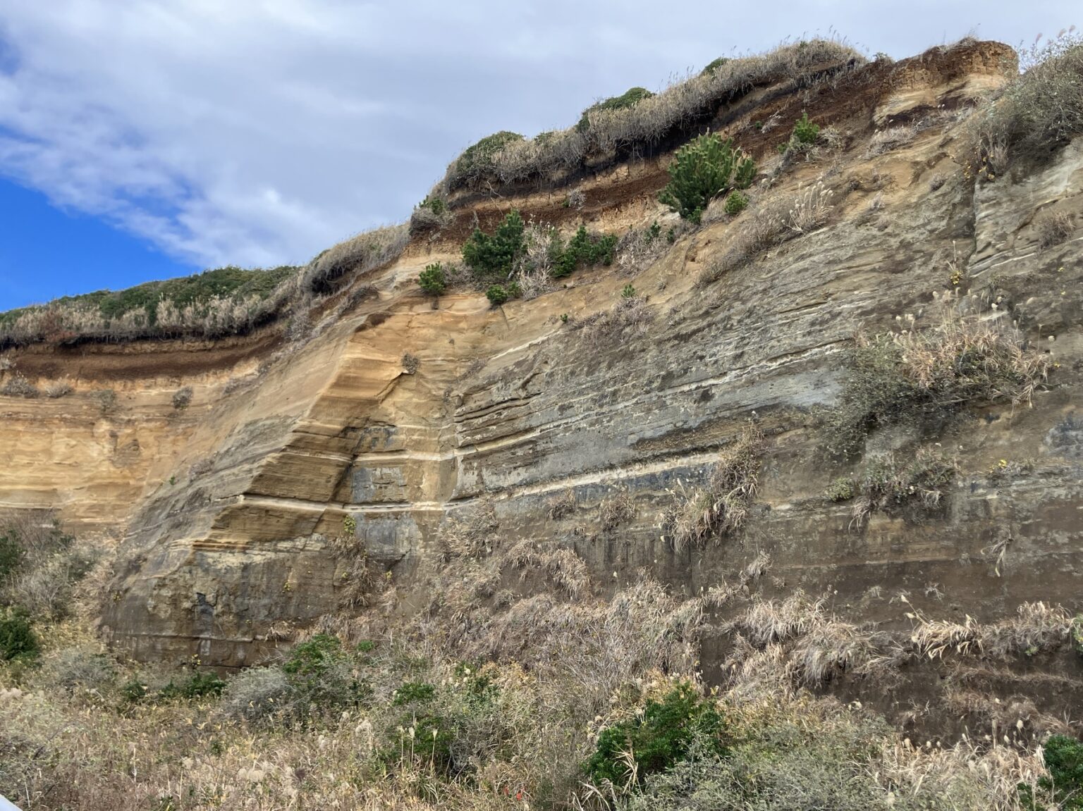 A 10-Kilometer Cliff Time Travel! Discover Earth’s Memories at Choshi’s ...