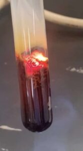 The Perilous Promise of ‘Iron and Sulfur’: 13 Crucial Safety Steps for ...