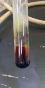 The Perilous Promise of ‘Iron and Sulfur’: 13 Crucial Safety Steps for ...