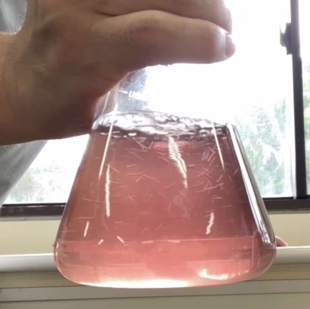 Shake It and Watch the Magic! Color-Changing Chemistry That Transforms ...